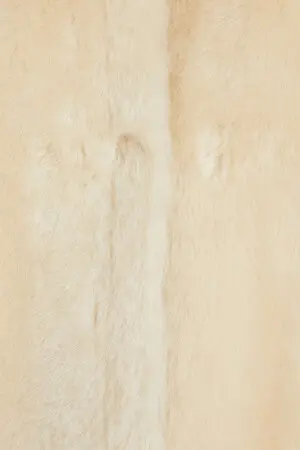 YVES SALOMON Shearling Jacket