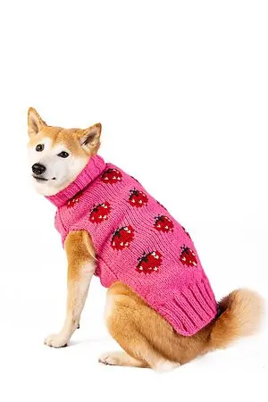 CHILLY DOG Strawberry Dog Sweater