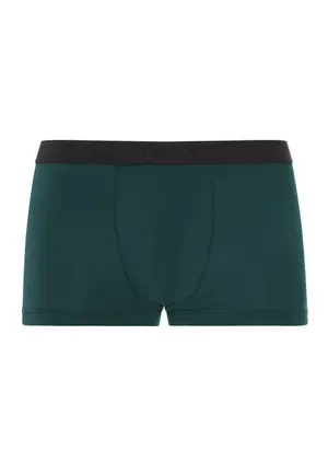 Hanro Micro Touch Boxer Brief Pine Leaf