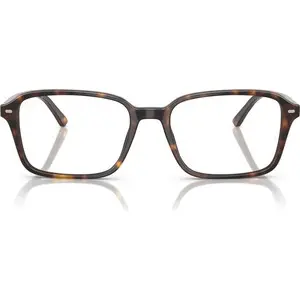 Ray-ban Ray-Ban 56mm Square Optical Glasses Havana