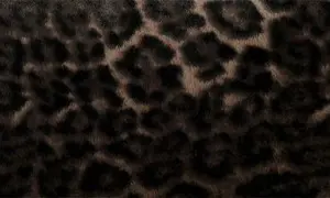 Apparis Cicly Faux Fur Accent Pillow