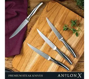 ANOLON X Steak Knife 4-piece Set, Stainless Ste El
