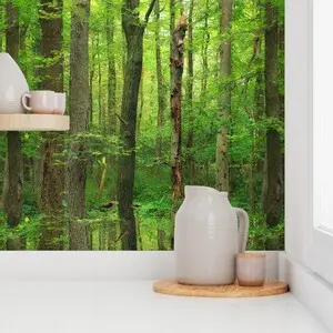 Spoonflower Green Nature Branches Forest Trees Photograph Traditional Wallpaper