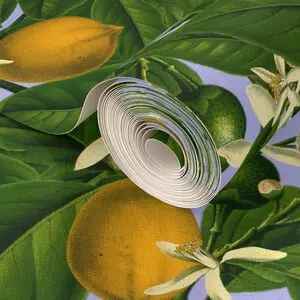 Spoonflower Lemon Botanical Leaves Floral Fruit Citrus Sky 100% Natural Sisal Grasscloth Wallcovering - Blue