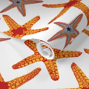 Spoonflower Star Fish On White Traditional Wallpaper - Gray,orange,red