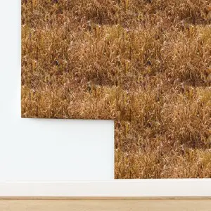 Spoonflower Grass Field Expanse Wheat Gold Traditional Wallpaper
