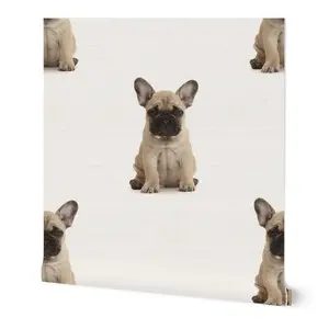 Spoonflower Frenchie 100% Natural Sisal Grasscloth Wallcovering