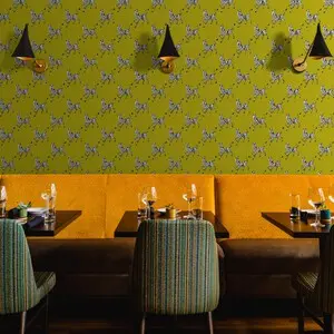 Spoonflower Chartreuse Zebra African Animals Safari Hollywood Traditional Wallpaper