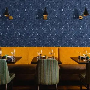 Spoonflower Night Time Forest Denim Blue Owl Animals Navy Fox Traditional Wallpaper