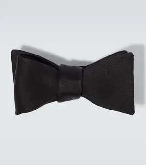 Loro Piana Ties For Men