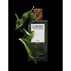 Loewe Un Paseo Por Madrid Prado Edp