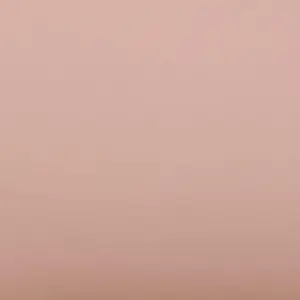 BVLGARI Mini Leather Roma Top-handle Bag
