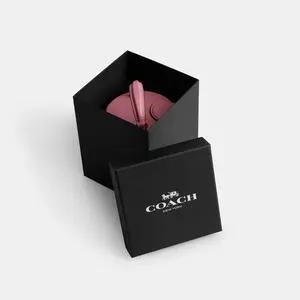 COACH Jewelry Box