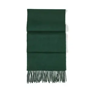 ASPINAL OF LONDON Pure Cashmere Scarf In Baby Cashmere - Green