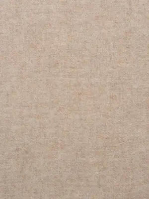 Acne Studios Wool Fringed-edge Scarf - Neutrals