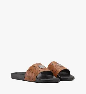 Mcm Visetos Slides