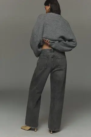 AGOLDE Low-slung Baggy Jeans