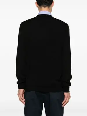 Polo Ralph Lauren Wool Sweater