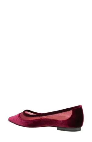 Linea Paolo Novah Pointed Toe Flat - Burgundy