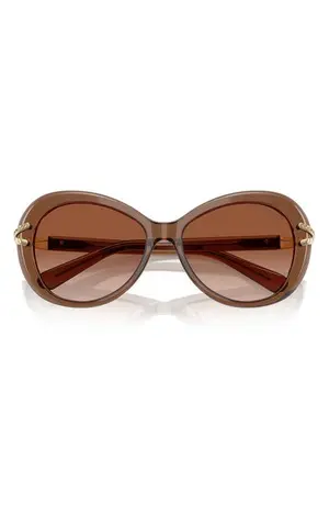 SWAROVSKI 56mm Butterfly Sunglasses - Transparent Brown