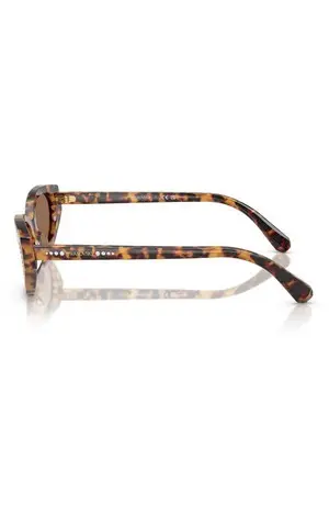 SWAROVSKI 53mm Round Frame Sunglasses - Brown Havana