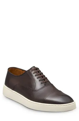 Allen Edmonds Park 2.0 Sneaker - Espresso
