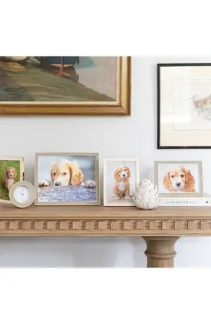 ADDISON ROSS LONDON Goldtone Plate & Enamel Picture Frame