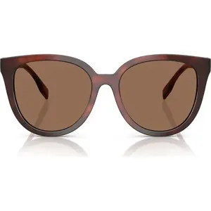 Tory Burch 56mm Phantos Sunglasses - Dark Brown