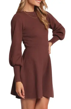PETAL & PUP Gigi Long Sleeve Fit & Flare Sweater Minidress - Brown