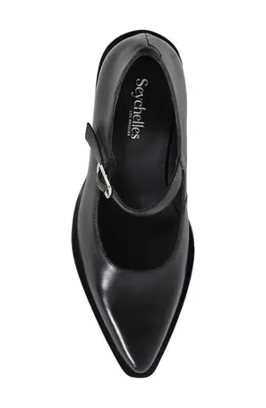 Seychelles Sparks Pointed Toe Mary Jane Pump