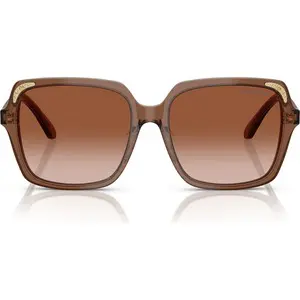 SWAROVSKI 56mm Square Sunglasses - Transparent Brown