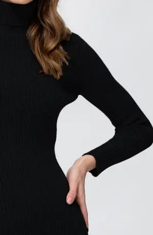 PIETRO BRUNELLI Turtleneck Ribbed Sweater Dress - Black
