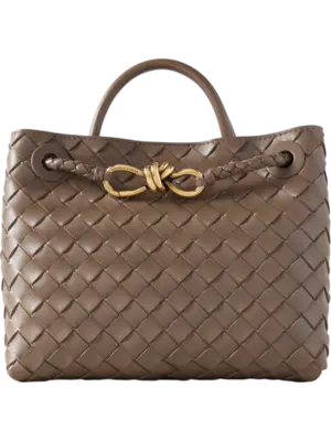 Bottega Veneta Andiamo Small Intrecciato Leather Tote - Brown