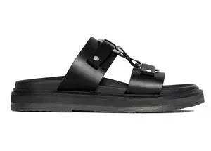 Celine Tippi Slides