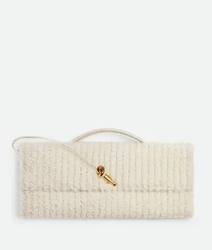 Bottega Veneta Andiamo Clutch Plaster
