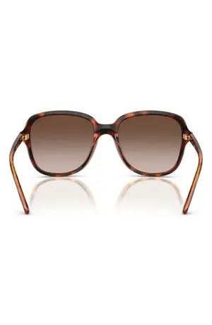 VOGUE 53mm Polarized Square Sunglasses - Dark Havana