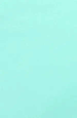 PQ SWIM Ruched Hipster Bikini Bottom - Seafoam