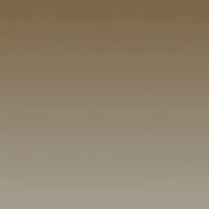 Burberry Square Frame Sunglasses - Brown