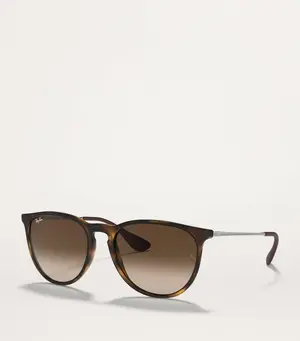 Ray-ban Erika Classic Sunglasses - Brown