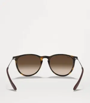 Ray-ban Erika Classic Sunglasses - Brown