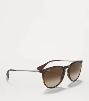 Ray-ban Erika Classic Sunglasses - Brown