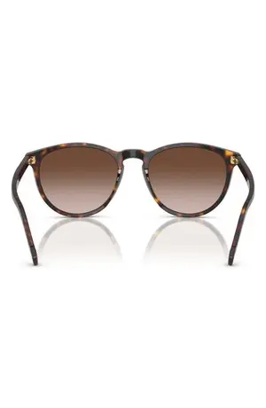 VOGUE 53mm Phantos Sunglasses - Dark Havana
