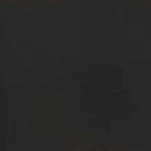 Celine Pointed Square Sunglasses - Black