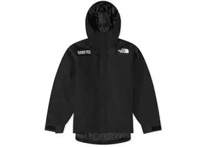 The North Face Gore-tex Mountain Jacket