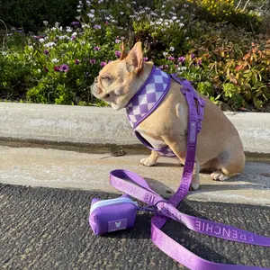 FRENCHIE Comfort Leash - La Purple