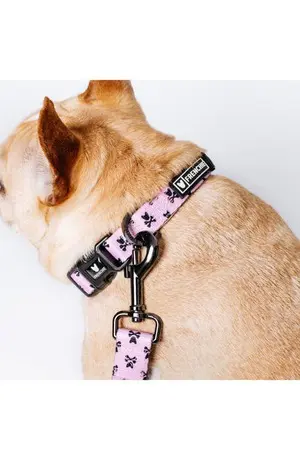 FRENCHIE Comfort Collar - Pink Bad To The Bone