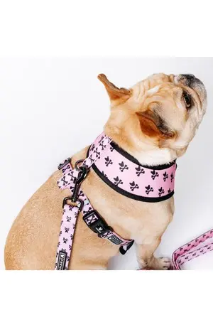 FRENCHIE Duo Reversible Harness - Pink Bad To The Bone