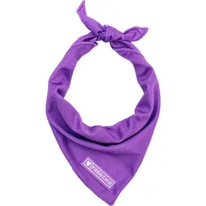 FRENCHIE Cooling Bandana La Purple