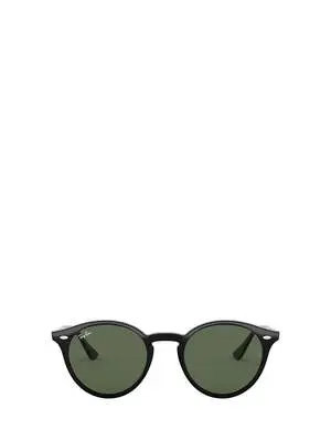 Ray-ban Ray-Ban Tortoise Sunglasses Black