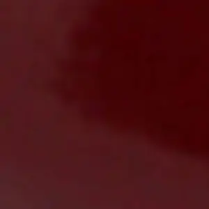 Paris Texas Patent Leather Lidia 70 Mules - Burgundy
